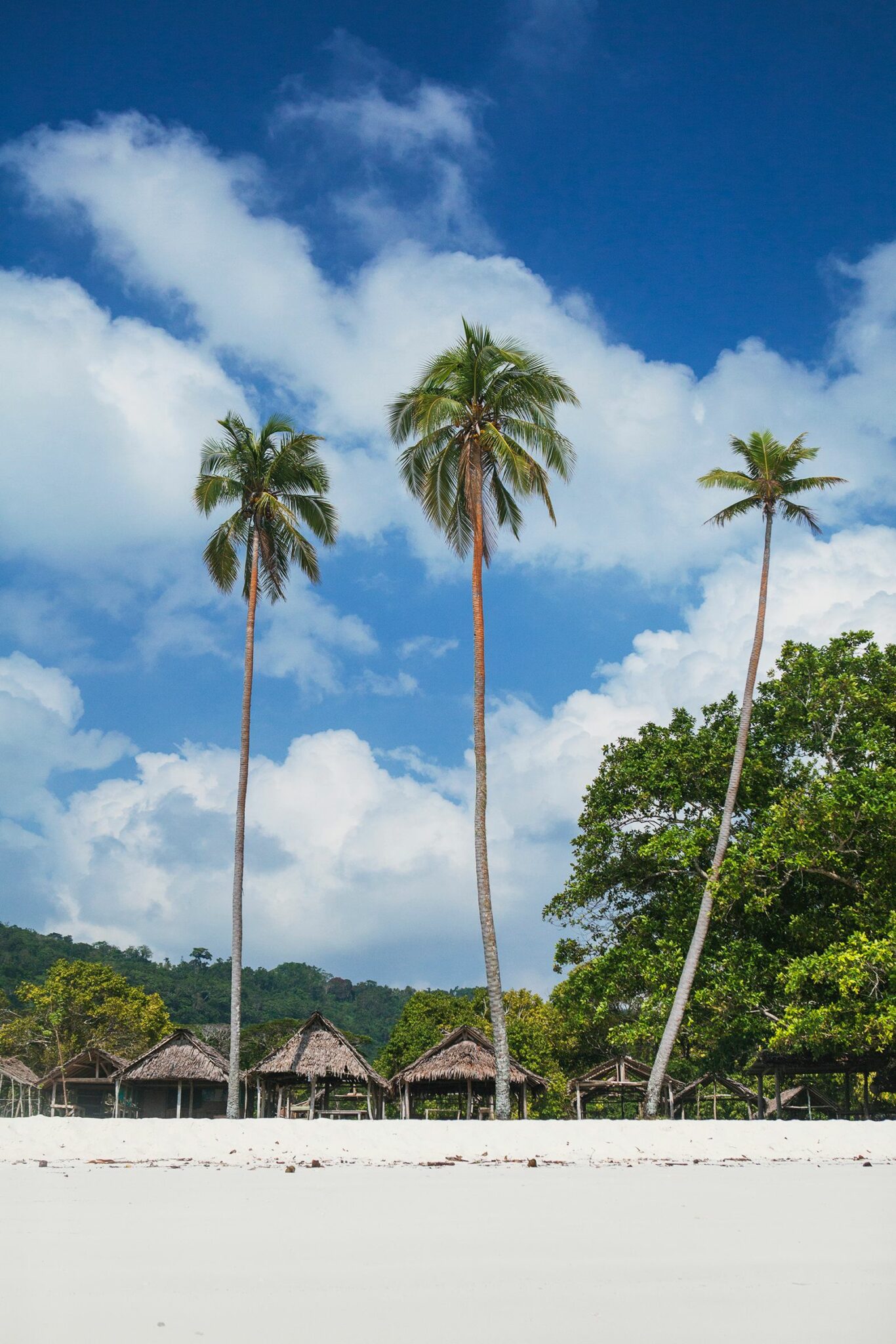 Santo Vanuatu must-see natural wonders - Aore Island Resor
